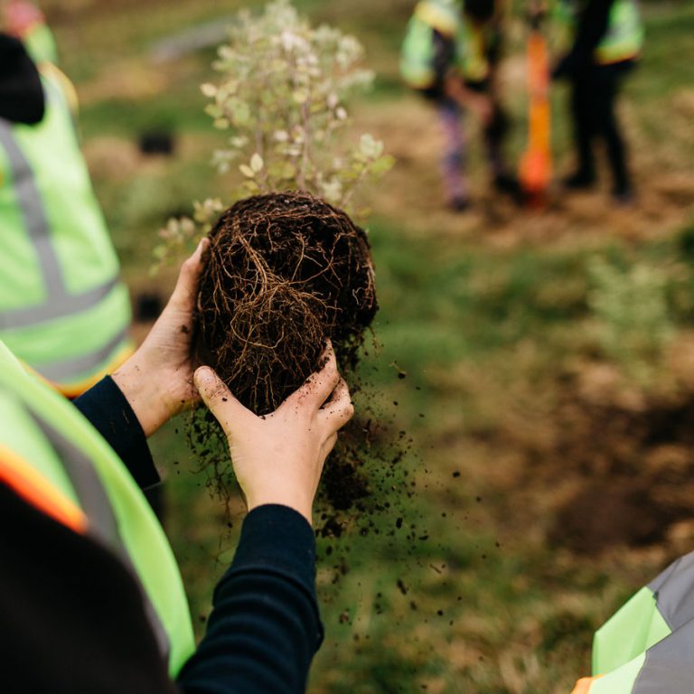 Science - Manawatu River - Science behind the Accord